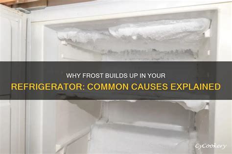 Why Frost Builds Up In Your Refrigerator Common Causes Explained