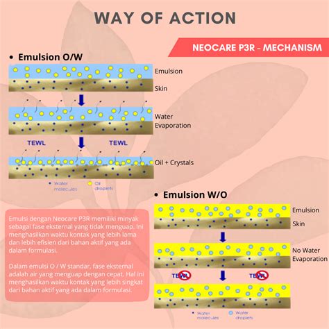 Interchem Prima Mitra
