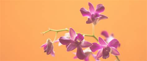 8 Ways To Develop Your Brand Story The William Agency