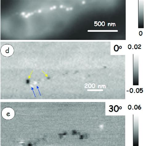 analysis of a cell from 5 7 h sample batch b a b tem images
