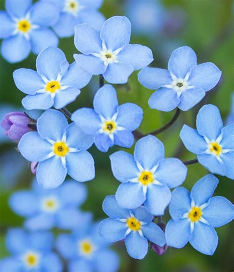 Linda Taulbee Obituary July 5 2025 Yeager Funeral Home