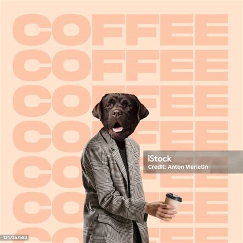 공식 정장에 여성의 현대 미술 콜라주 와 개 머리 격리 복숭아 배경 에 문자 개에 대한 스톡 사진 및 기타 이미지 개 여자