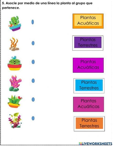 Plantas Terrestres Y Acuáticas Worksheet