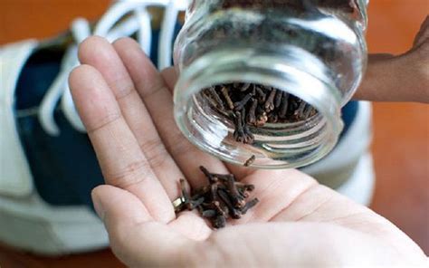 Коли ти дізнаєшся навіщо вона поклала чайний пакетик в взуття зробиш так само