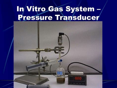 Ppt In Vitro Techniques Powerpoint Presentation Free Download Id