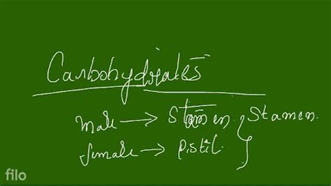 PROJECT WORK M M A Draw A Well Labelled Diagram Of Parts Of A