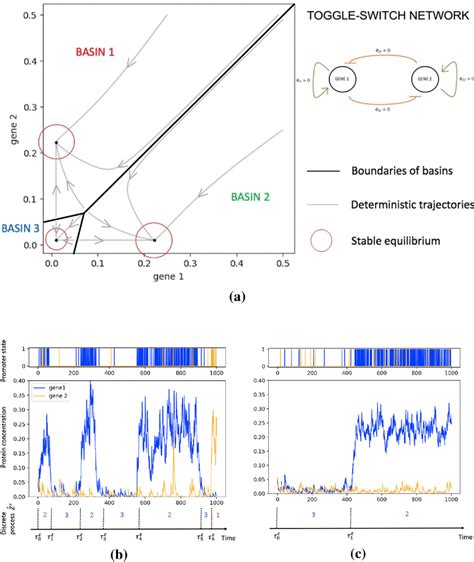 A Phase Portrait Of The Deterministic Approximation For A Symmetric Download Scientific Diagram