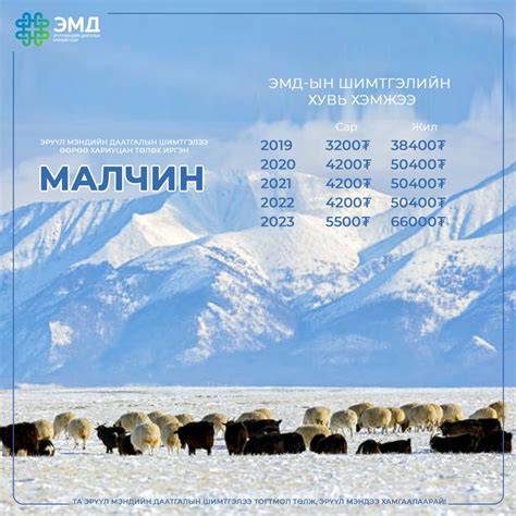 Малчид ЭМД ын шимтгэлээ цаг тухайд нь төлснөөр 16 төрлийн тусламж үйлчилгээг 70 100 хувийн