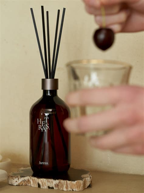 헤트라스 프리미엄 대용량 디퓨저 500ml 5개입 선물세트 Eternal Journey