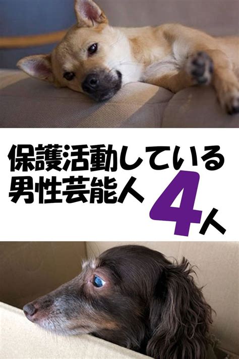 保護活動されている男性芸能人まとめ 犬 愛犬家 芸能人
