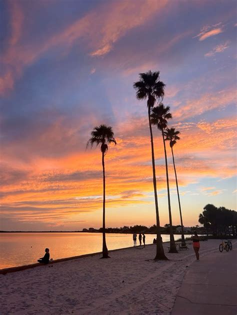 Eckerd College Eckerd College Camera Roll College