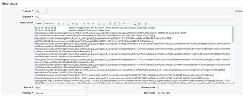 Internal Error When Creating A New Issue Redmine
