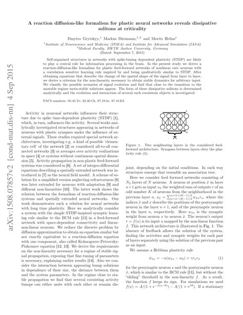 Pdf Reaction Diffusion Like Formalism For Plastic Neural Networks Reveals Dissipative Solitons