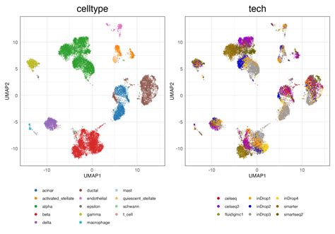 Dataset Pancreas