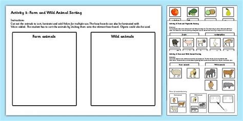 Sorting Activities Teacher Made Twinkl