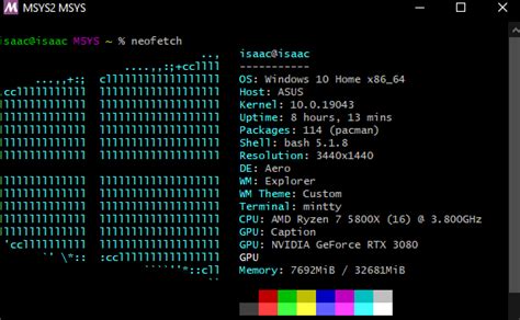 Msys2 Bash Calling Neofetch Doesnt Show But Calling It Through Msys2