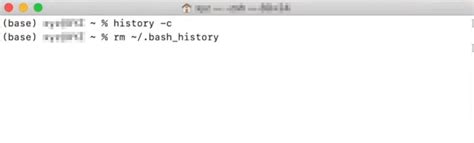 Clearing Terminal History On Mac A Comprehensive Guide