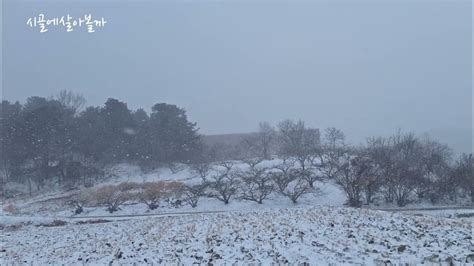 눈보라 치는 시골 Youtube