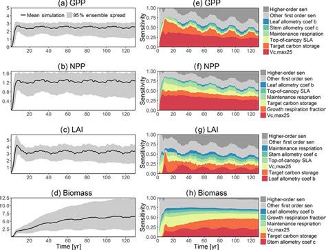 Simulated Temporal Dynamics In Carbon Fluxes And Stocks And The