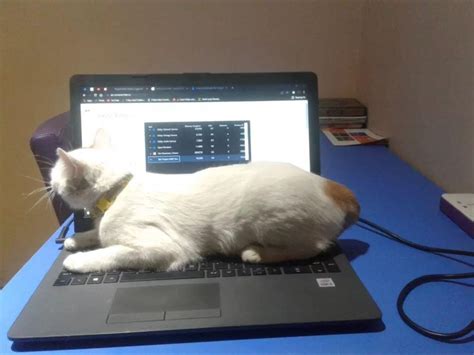 Hussein Alamutu Gmnse On Linkedin Cloudengineer Softwareengineering