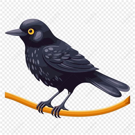 Black Bird Clipart Colorful Vector Black Bird Sitting On A Branch Cartoon Png Free Download And