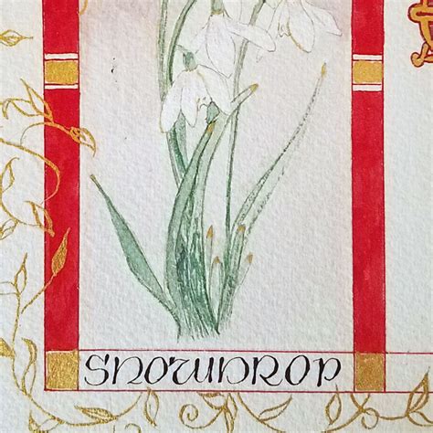 3 Differences Between Pointed Broad Calligraphy Nibs Crossroads Calligraphy