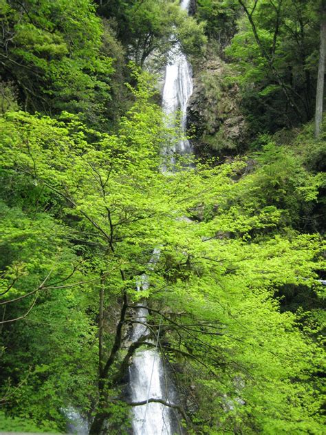 獏の住む森 原不動滝に行ってきました