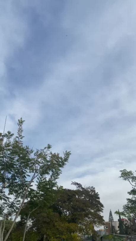 Please Help Urgently Tumbex