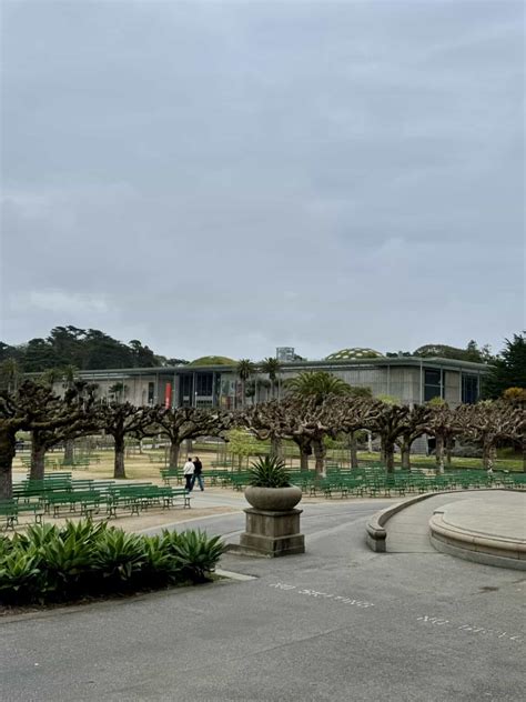 Golden Gate Park Top 9 Things To Do Tips For Visiting My