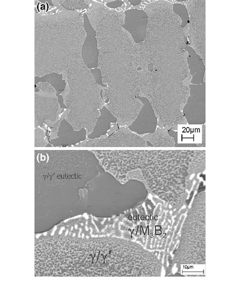 Micrographs Of B1914 Superalloy In As Cast Condition From Sembse