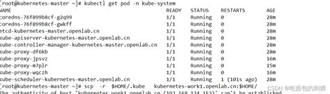 Kubernetes K s 基本环境部署 CSDN博客