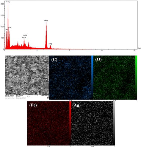 Edx Mapping Analysis Of Biochar Fe3o4 Ag Nanocomposite Download Scientific Diagram