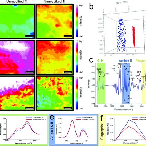 Synchrotron Atr Ftir Microspectroscopy Of S Aureus Attached To A Download Scientific Diagram