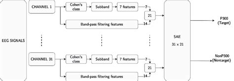 Illustration Of P300 Classification Framework Based On The Three Download Scientific Diagram