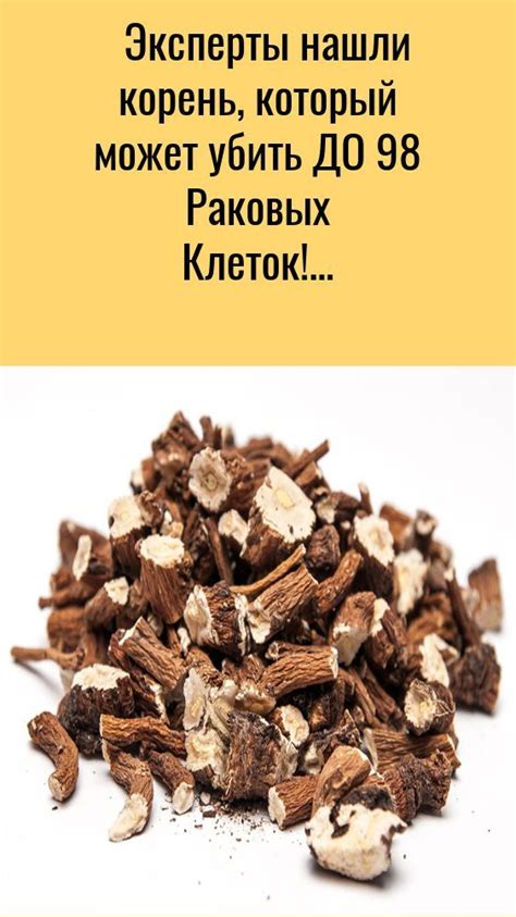Эксперты нашли корень который может убить ДО 98 Раковых Клеток Food Breakfast Chocolate