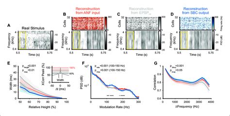 Envelope Fine Structure Properties Of The Reconstructed Stimulus Differ Download Scientific