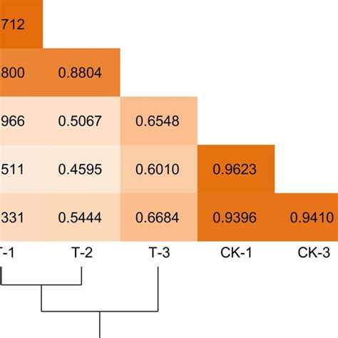 The Pearson Correlation Coefficient Between Different Biological Download Scientific Diagram
