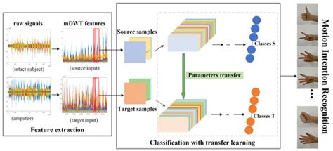 Improving Motion Intention Recognition For Trans Radial Amputees Based On Semg And Transfer Learning