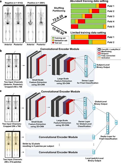 Schematic Diagrams Illustrating Dataset Allocation And The Fivefold And