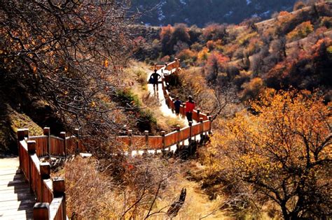 福寿山景区伊犁福寿山景区景点福寿山风景名胜区第6页大山谷图库