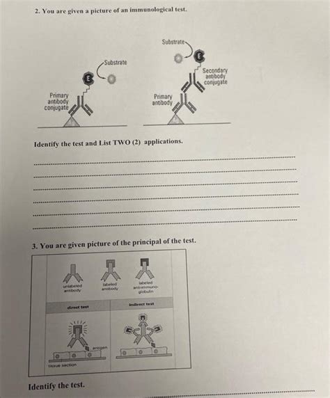 Solved 2 You Are Given A Picture Of An Immunological Test