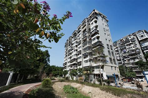 首页 坤鸿建发