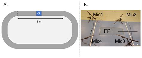 Sensors Free Full Text Predicting Vertical Ground Reaction Forces In Running From The Sound