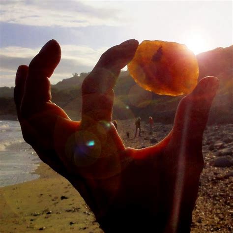 Bart Brummer Youtube