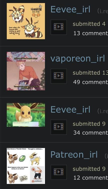 Eevee Irl R Furry Irl