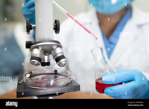 Asian Scientist Biochemist Or Microbiologist Working Research With A