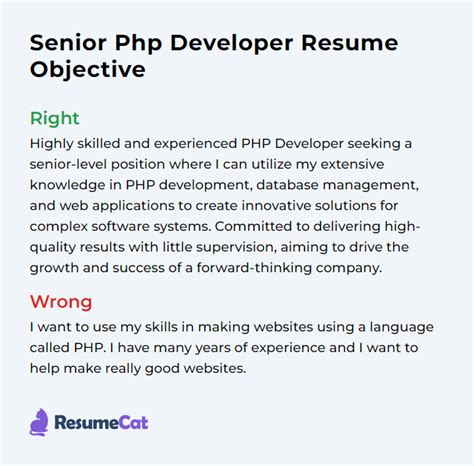 Top Senior Php Developer Resume Objective Examples