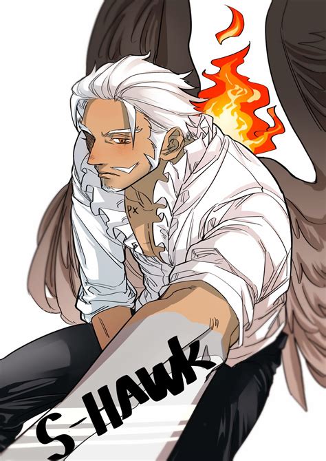 S Hawk One Piece Drawn By Lunarialover Danbooru