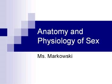 Anatomy And Physiology Of Sex Presentation Free To View