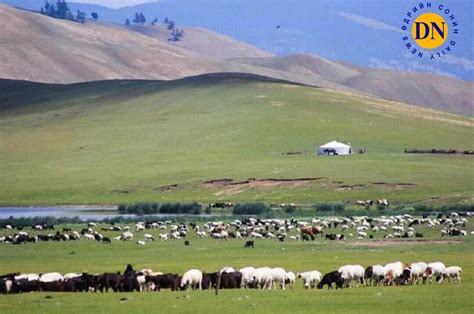 Бог малын мялзан өвчний тандалт судалгаа хийжээ Dnn Mn